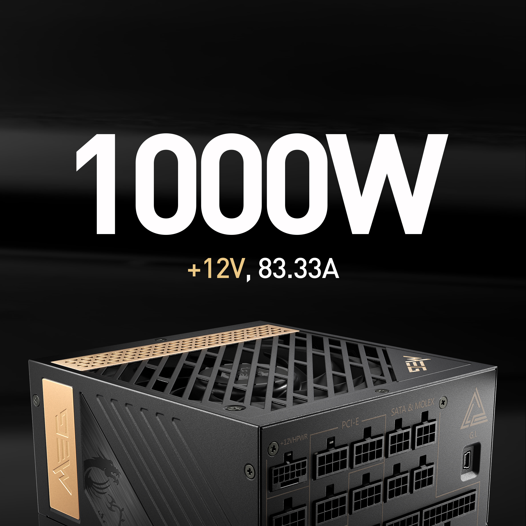 MSI MEG Ai1000P PCIE5 1000 W Power Supply - Newegg.com